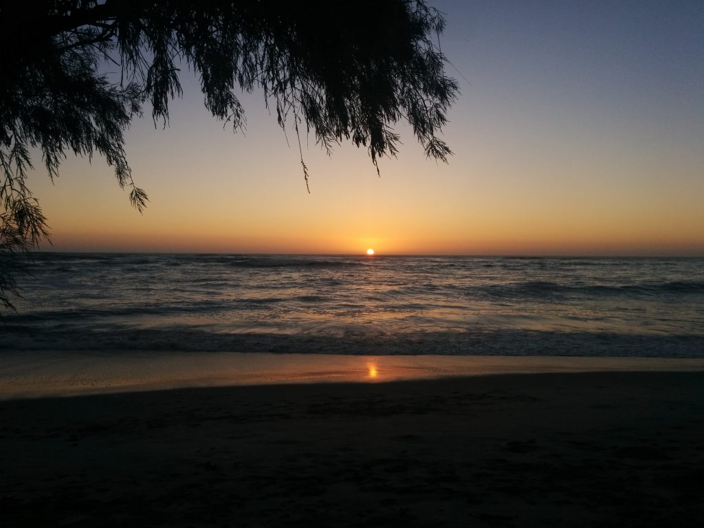 Swakopmund und Little Five Tour